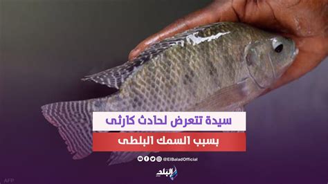 السمك البلطي سام سر التحذير من تناوله هل يؤدي لبتر الأطراف