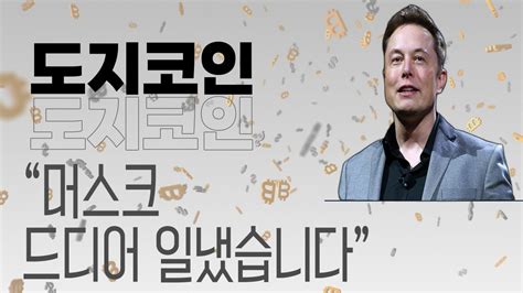 도지코인은 일론 머스크의 분신입니다 도지코인전망 도지상승 도지밈코인 일론머스크윤석열 도지투더문 도지코인밈코인
