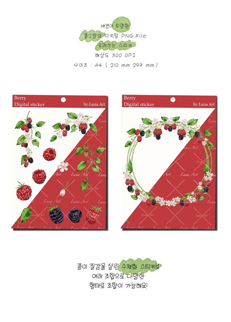 베리 시리즈 3 팩