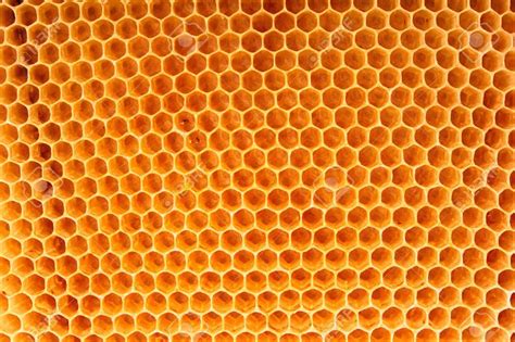 Download Yellow Honeycomb Wax Wallpaper