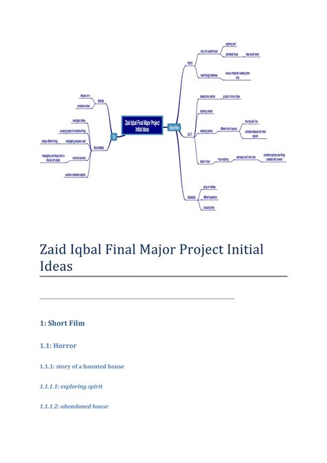 Zaid Iqbal Final Major Project Initial Ideas Doc