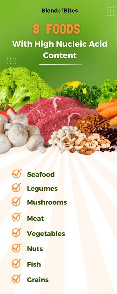 Nucleic Acids Foods 8 Foods With High Nucleic Acid Content Blend Of Bites