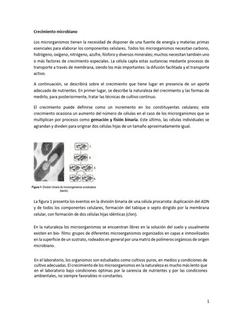 Apuntes Crecimiento Microbiano Pdf Microorganismo Biología Celular