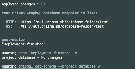 Endpoint Information Printed When Prisma Service Is Deployed For The
