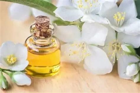 Jasmine Water Soluble Essential Oil At ₹ 800 Kg Essential Oils In