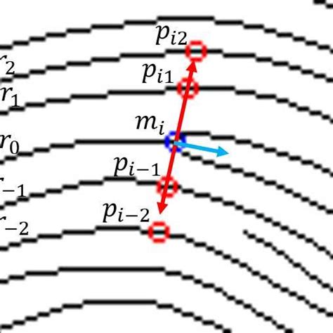 Two Commonly Used Fingerprint Features A Ridge Bifurcation B