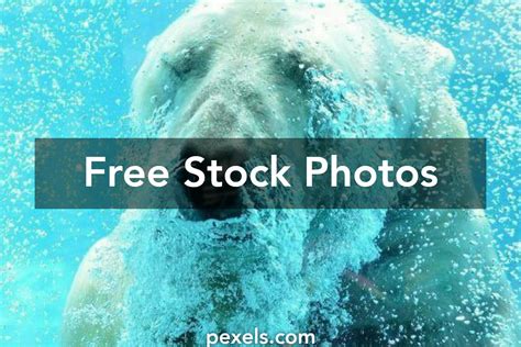 Cutebarebutts Photos Download The Best Free Cutebarebutts Stock