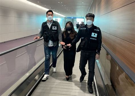 경찰 동남아 마약 밀수입 조직 총책 캄보디아서 강제송환 아시아경제