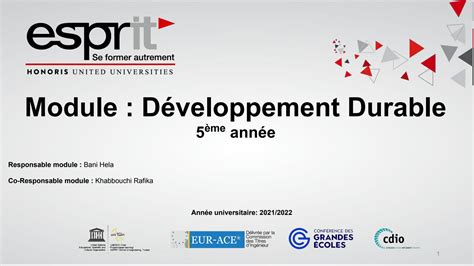 SOLUTION Chapitre Introductif Developpement Durable Studypool