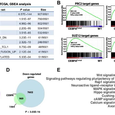 Aml Derived Mutations In Cebpa C Terminus Disrupt Dnmt3a Binding A Download Scientific