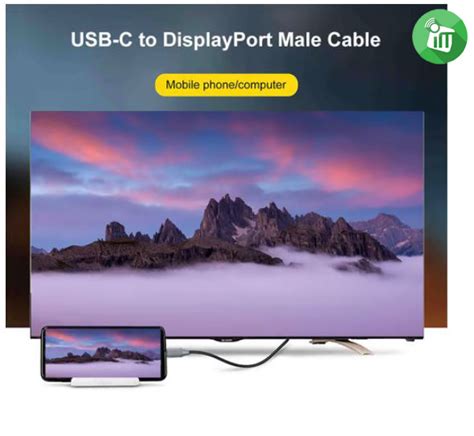 Type C Male To DP DisplayPort K Female Converter Adapter