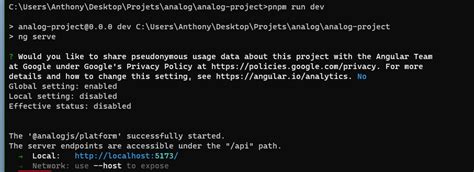 Issues With Pnpm Issue Analogjs Analog Github