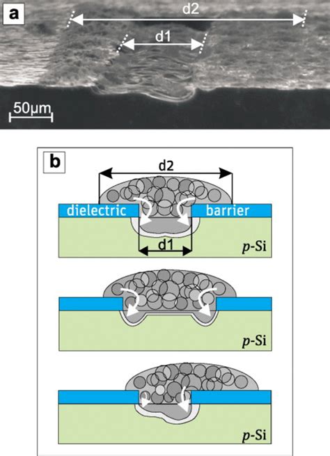 A Cross Sectional Sem Micrographs After Hf Hcl Etching Of The Al Download Scientific Diagram
