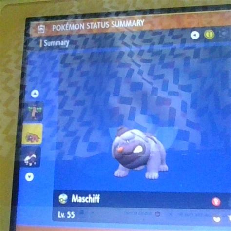 All Of My New Shiny Pokemon And How I Found Them I Didnt Find Zoroark