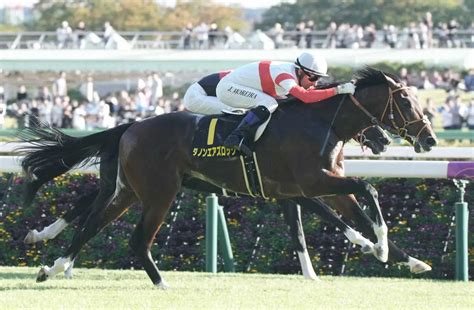 【アイビーs】ダノンエアズロック デビュー連勝！モレイラ評価「将来楽しみ」 スポニチ競馬web