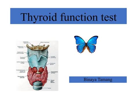 Thyroid Function Test Tft In Simple Way Ppt