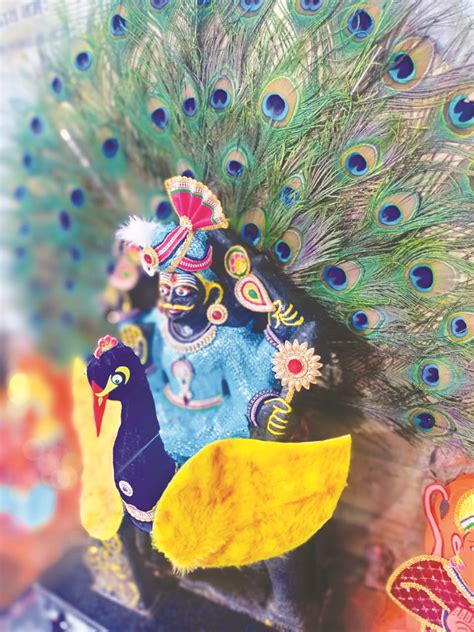 Special Preparations In Shani Temples Bhandara Will Be Organized On