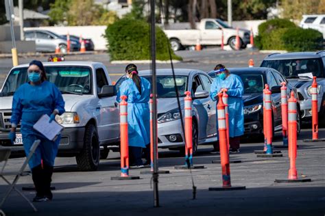 ‘were Flying Blind Cdc Has 1m Bird Flu Tests Ready But Experts See