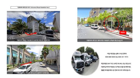 하와이 다이아몬드 헤드 일출 하이킹 And 거북이 스노클링