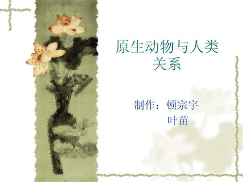 原生动物与人类关系word文档在线阅读与下载无忧文档