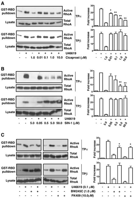 Cicaprost And SIN 1 Induced Desensitization Of TP Mediated Signaling