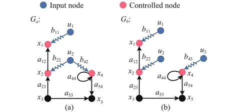 Input Structure At Luis Becker Blog