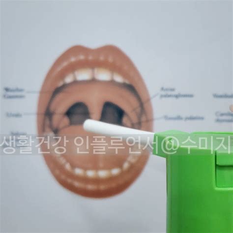 목감기 인후통 증상 침삼킬때 목아픔 약국 목 스프레이 목감기 약 네이버 블로그