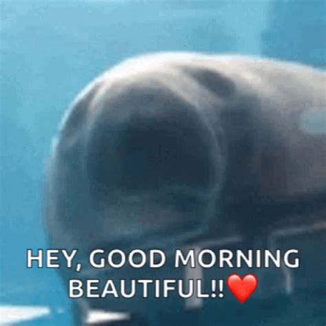 Good Morning Meme S