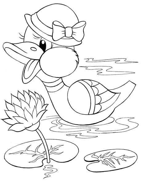 Утка лолофан раскраска 80 фото