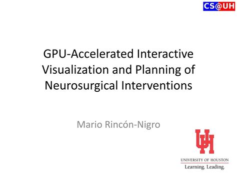 Ppt Gpu Accelerated Interactive Visualization And Planning Of Neurosurgical Interventions