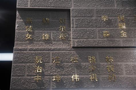 最新考古成果展揭秘“南石头往事” 文史广东