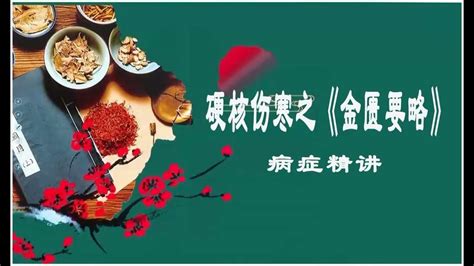 9 硬核伤寒论之《金匮要略》衄吐下血胸满瘀血、呕吐哕下利和疮痈肠痈浸淫疮 Youtube