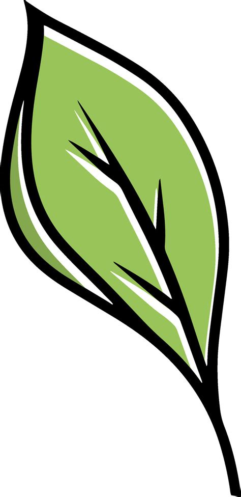 Doodle Leaf Icon Sketch Leaf Clipart Vector Illustration 36134407