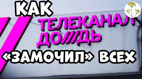 Кто такие либералы россии Почему дождь это вершина айсберга Youtube