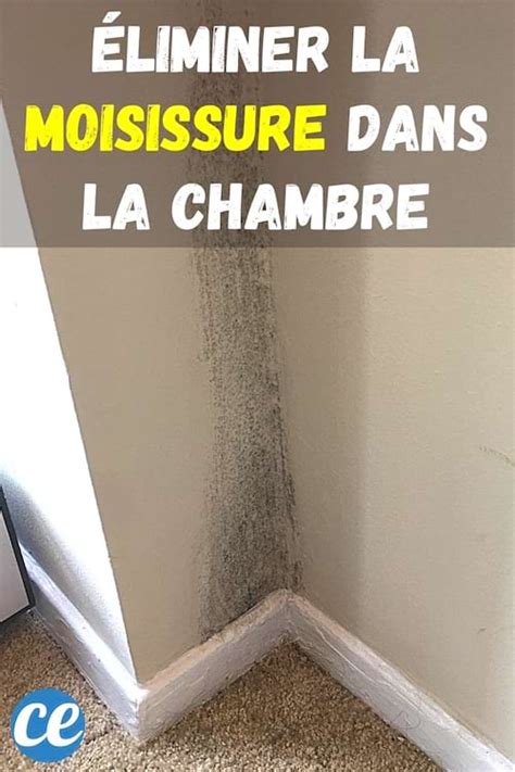 Moisissure Dans La Chambre Cause Et Solution Pour LÉliminer Des Murs