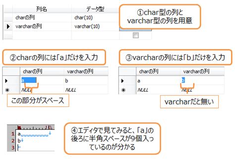 【初級編⑤】sql Server 2008 のデータ型とサイズについて Sql Server 虎の巻