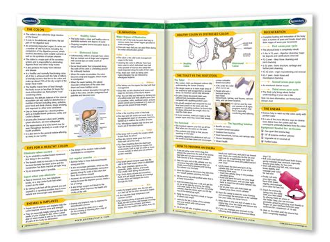 Detoxification Guide Quick Reference Resource For Total Body Detox