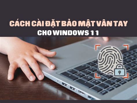 How To Install Fingerprint For Windows 11 To Unlock The Computer Quickly And Safely Anonyviet