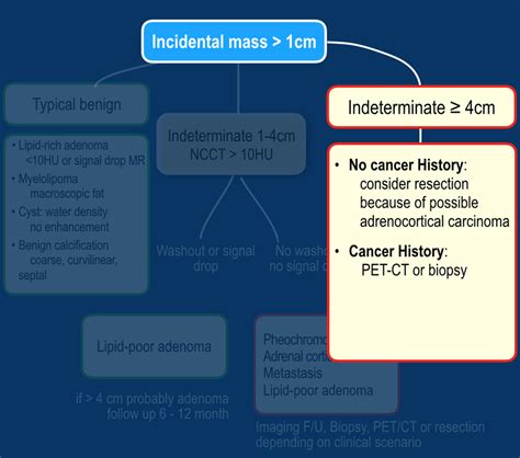 The Radiology Assistant Characterization Of Adrenal Lesions