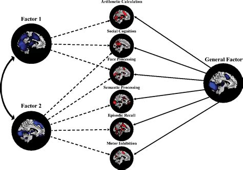 figure 1 from data driven extraction of a nested model of human brain