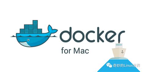 Sqltools 一款全功能的 Vscode 轻量级数据库管理插件 Csdn博客
