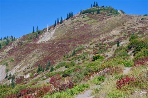 Filebelow Bear Pass Boundary Trail Mt Margaret Backcountry