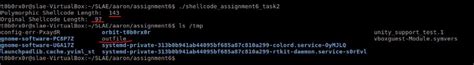 Slae Assignment 6 Polymorphic Shell Code T0b0rx0r Blog