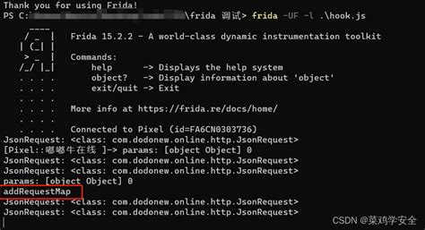 Frida Csdn
