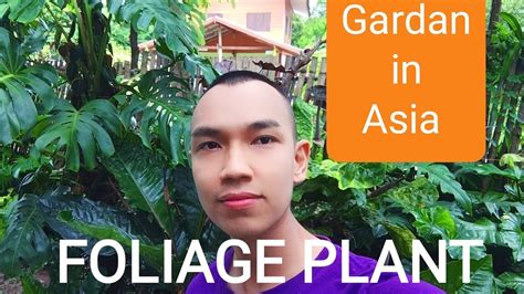 Garden Youtube