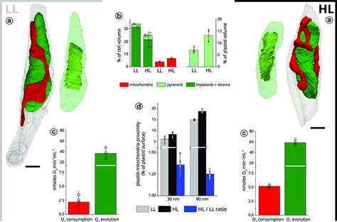 Structural Analysis Of Light Acclimation In Phaeodactylum Tricornutum