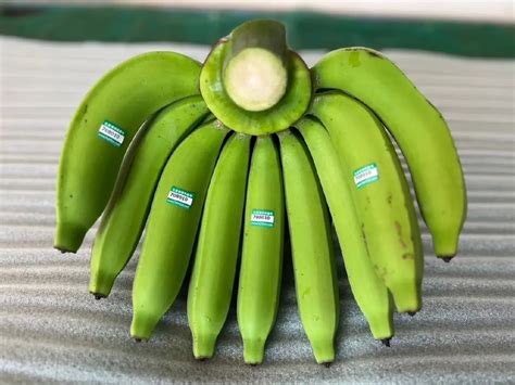 พาณิชย์ ขึ้นทะเบียนจีไอ”กล้วยหอมทองหนองบัวแดง”