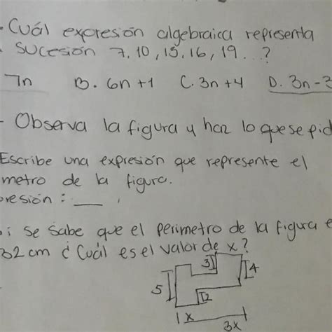 Ayúdenme por favor Brainly lat