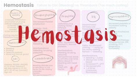 Hemostasis Youtube