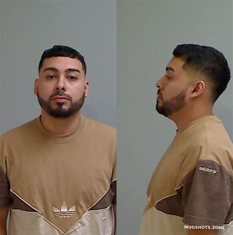 Martinez Janson 11162024 Hidalgo County Mugshots Zone